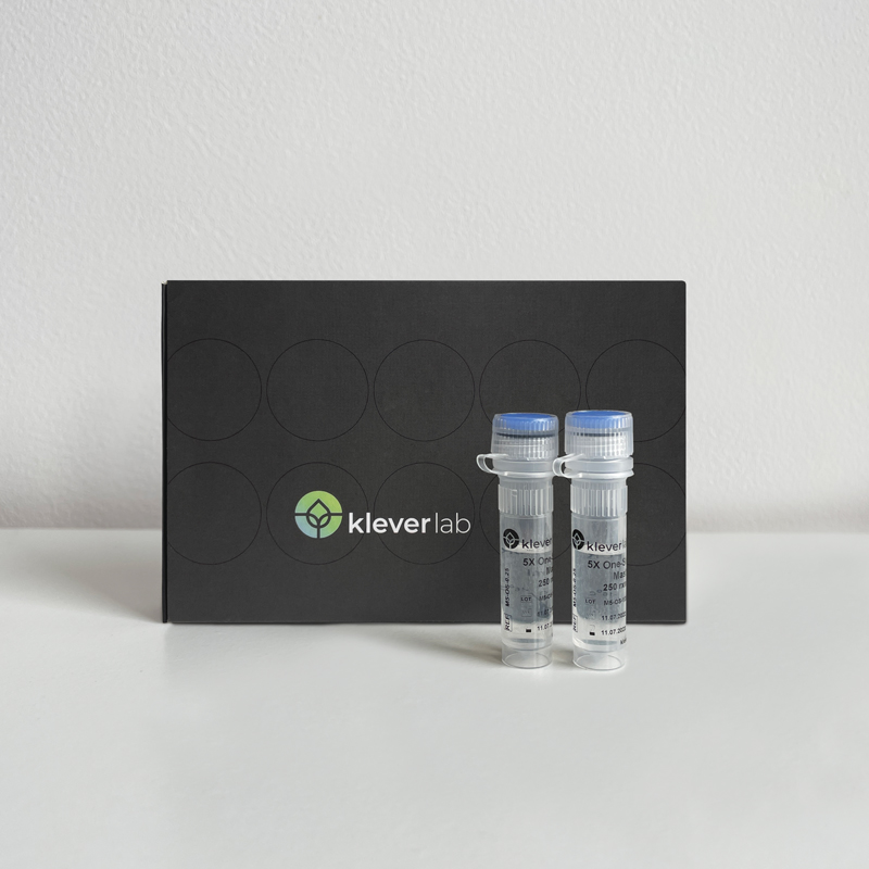 Recombinant Bovine Serum Albumin, Lyophilized